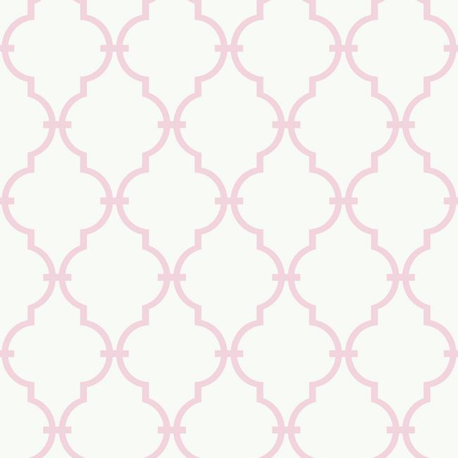 Pink Trellis - Papier Peint - Empire Papier Peint
