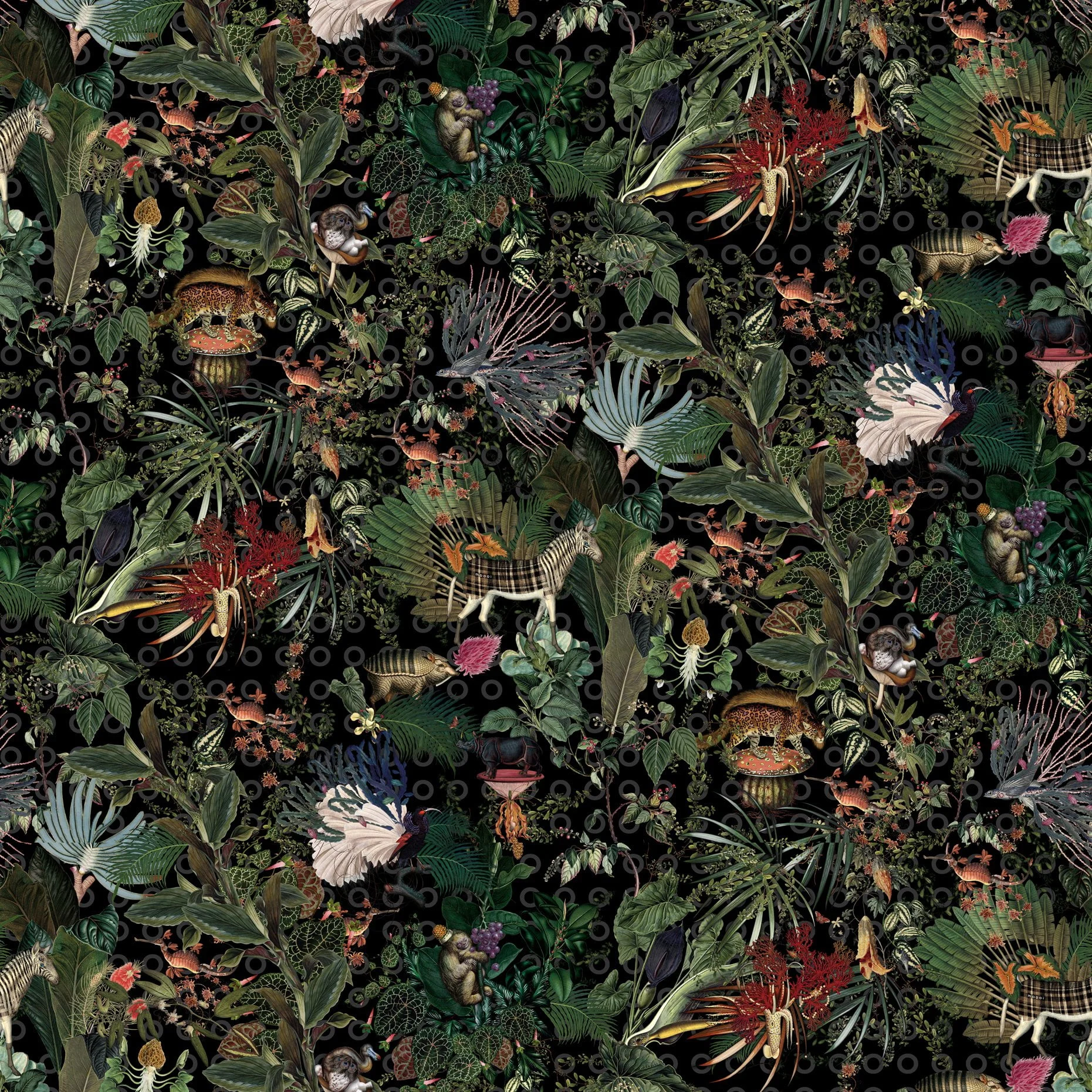 Extinct Animals - Papier Peint - Empire Papier Peint